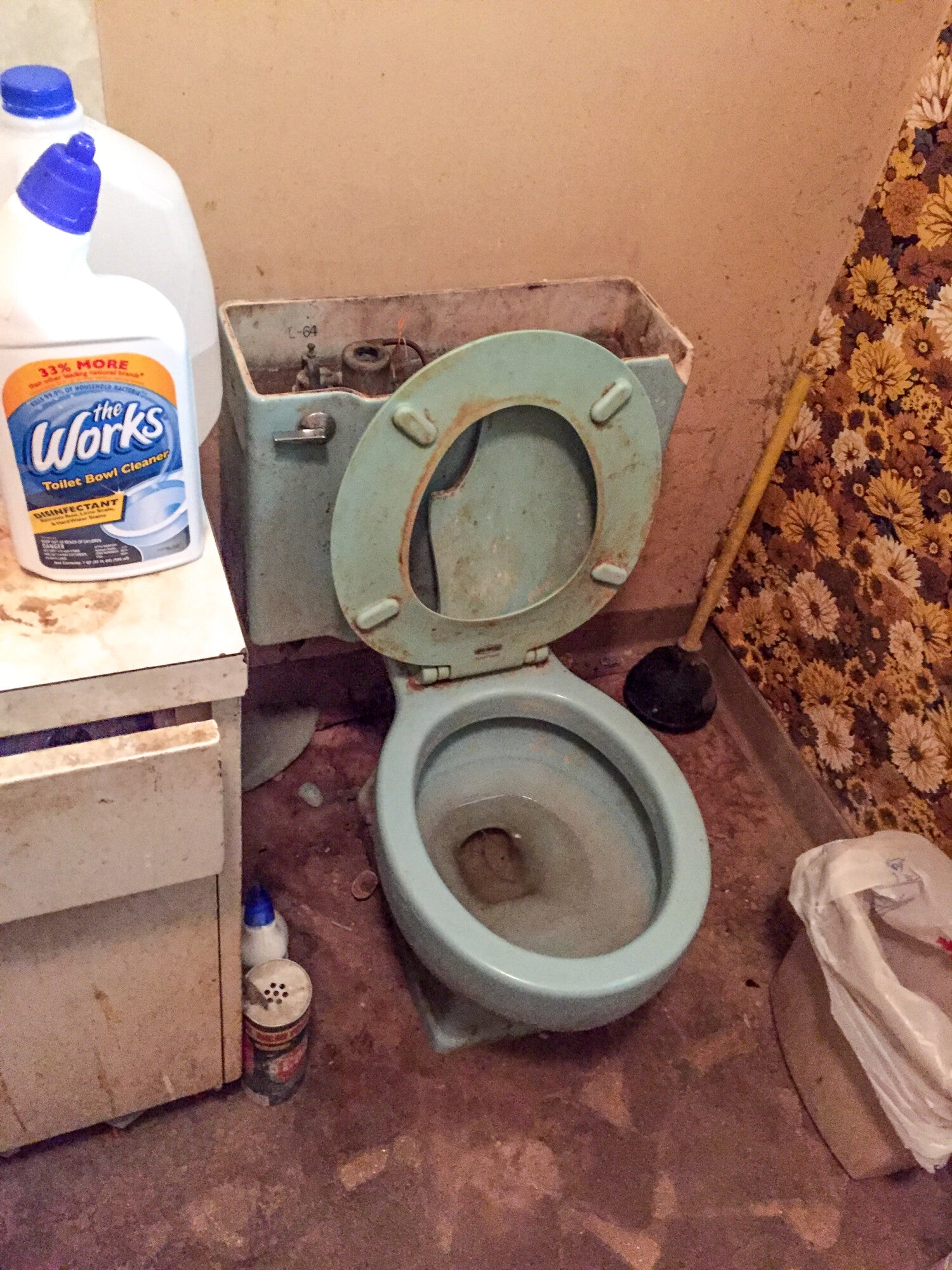 The Kaka House – Abi Ayres